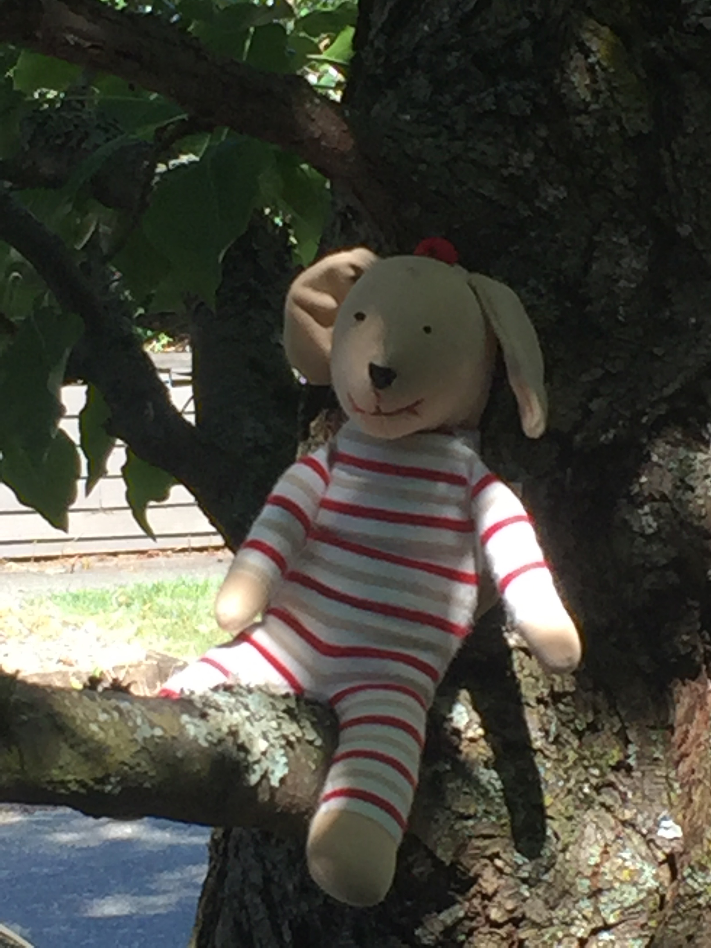 Uncategorized | Alexandra Dane